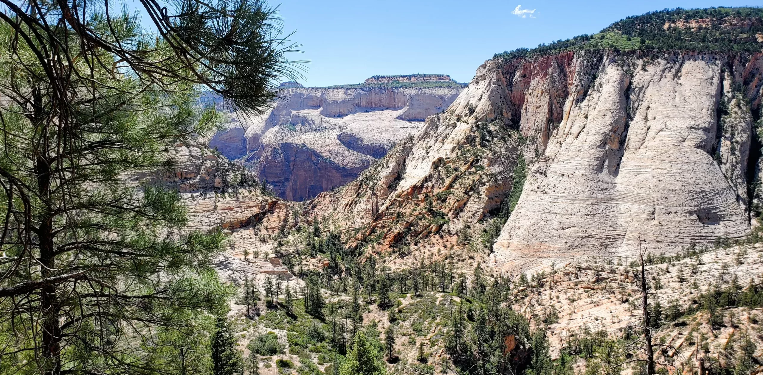 Hiking the East Rim of the Zion Traverse